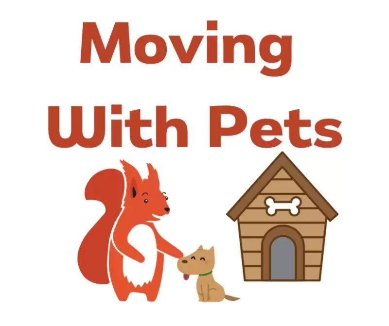 Moving House with Pets: Your Stress-Free Guide | Explorage